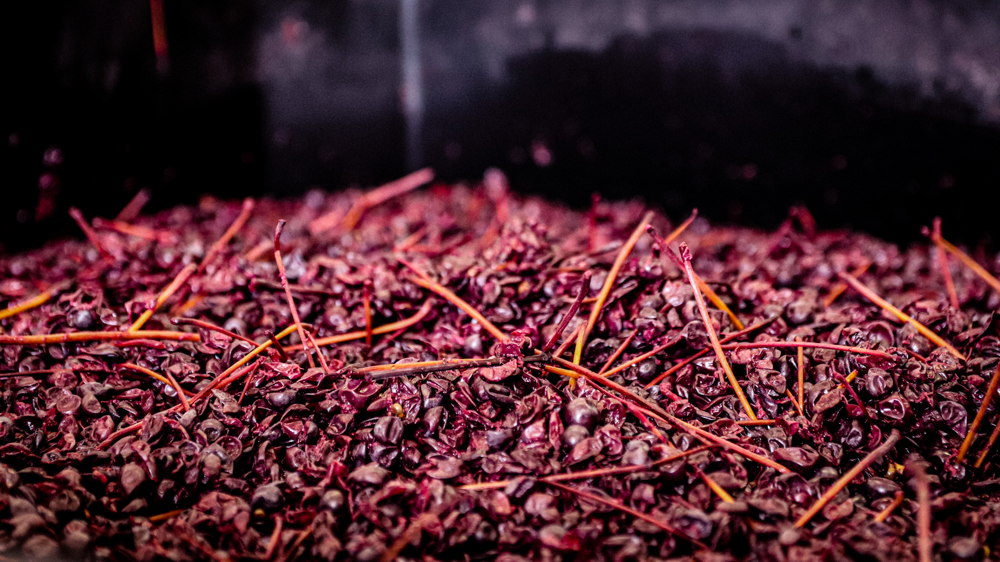 Cornell Study Finds the Potential in Grape Pomace – New York Wine ...