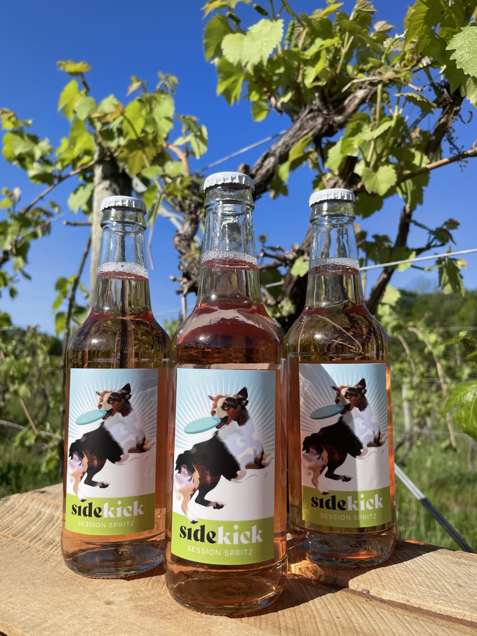 Lakewood Vineyards Releases Sidekick Session Spritz – New York Wines