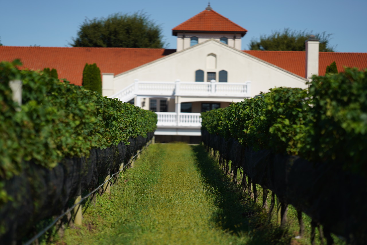 From a Perfect Vintage, Raphael Wine’s 2019 Reserve Cabernet Franc Wins ...