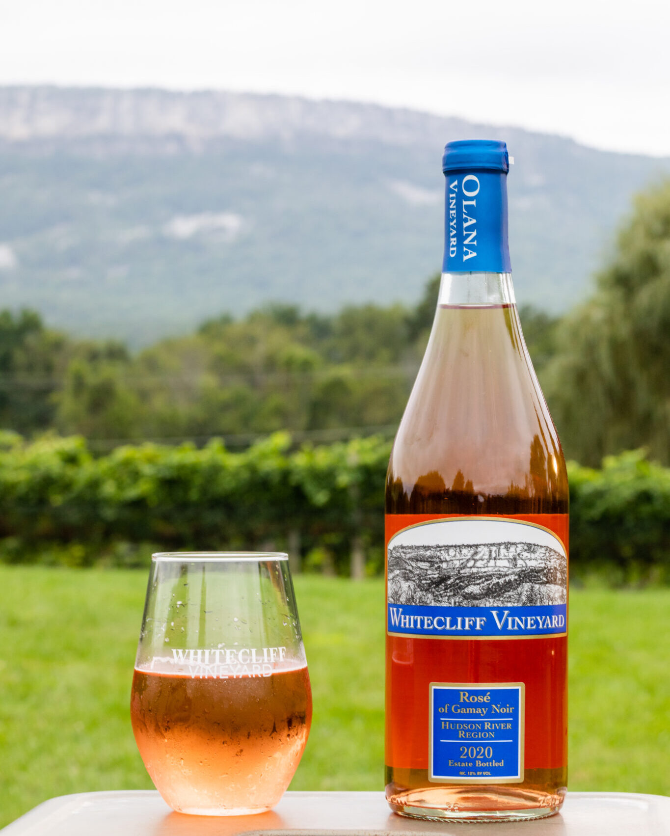 Whitecliff Vineyard: A Story of Passion, Community, and Sustainability ...