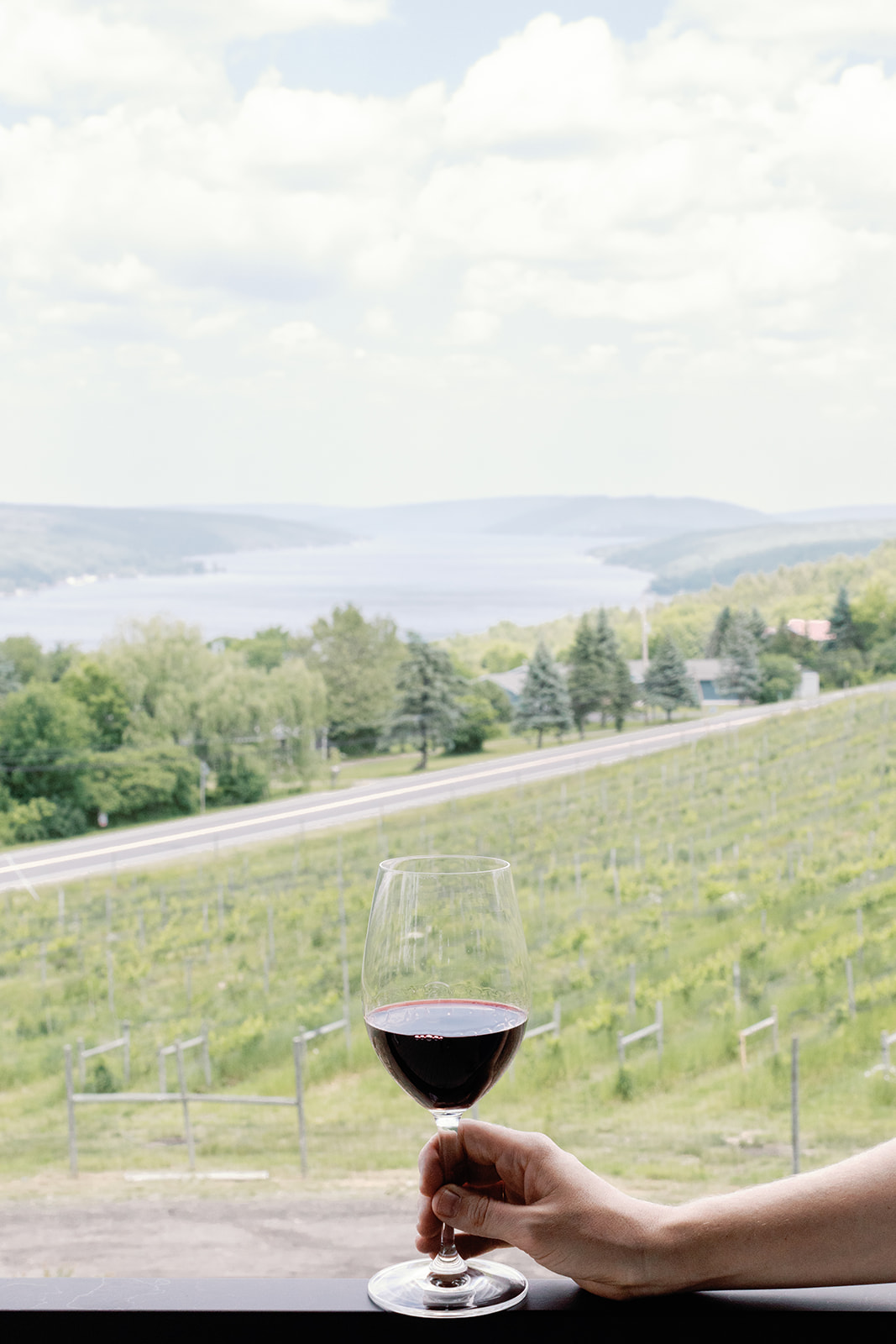 Living Roots Wine & Co.: Blending Tradition, Experimentation, and ...