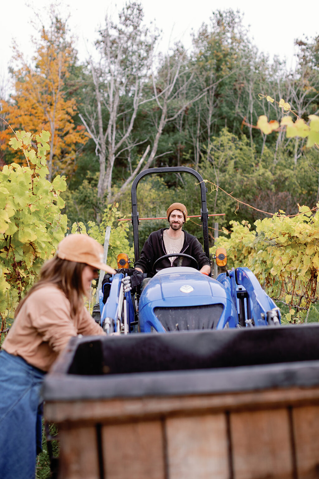 Living Roots Wine & Co.: Blending Tradition, Experimentation, and ...