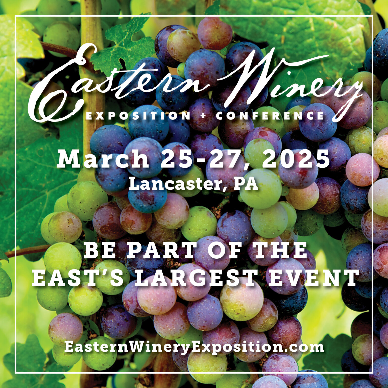 Eastern Winery Expo – New York Wines