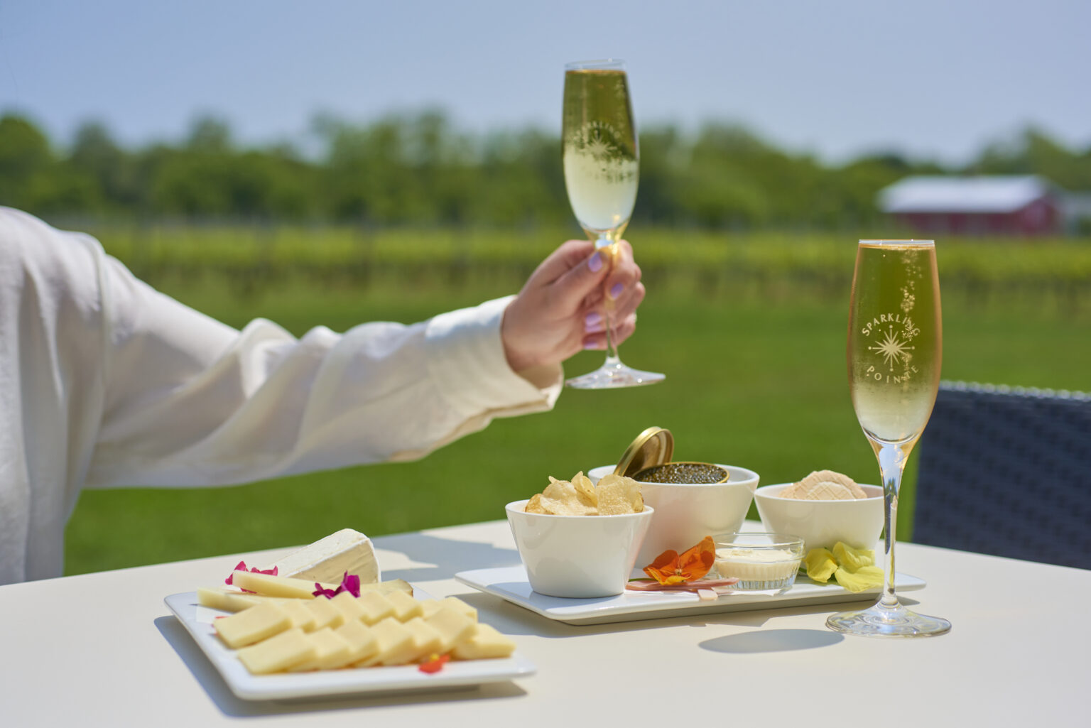 Sparkling Pointe: 20 Years of Crafting Exceptional Bubbles – New York Wines