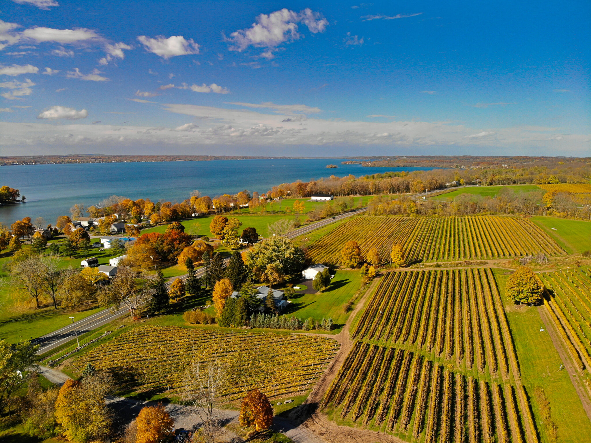 The Heartfelt Story Behind Heart & Hands Winery: Crafting Legacy and ...