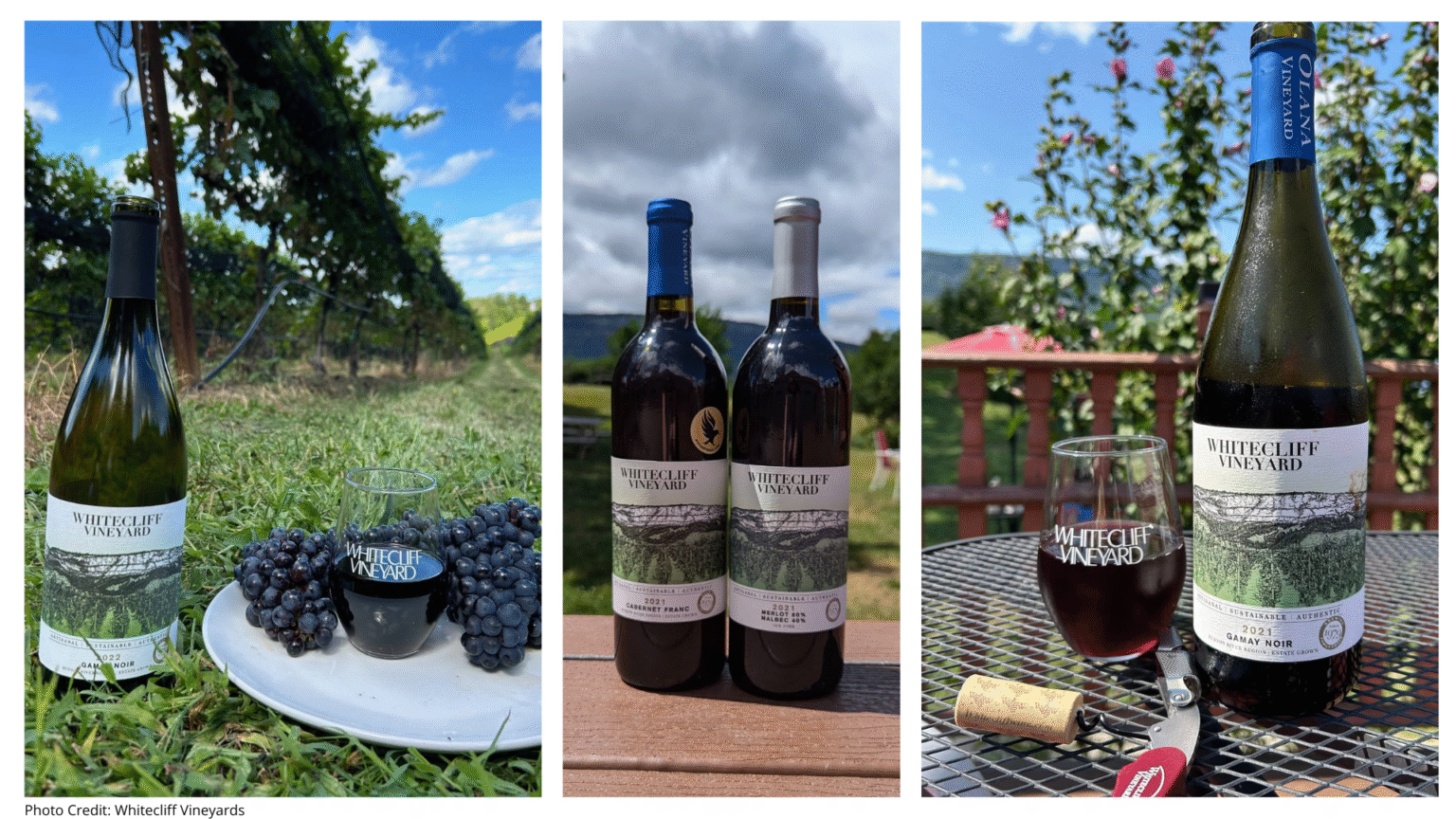 The Shift Towards Lighter-Style Reds and Why NY Cool-Climate Reds Work ...